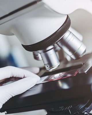 Case Studies Archive - Akeso